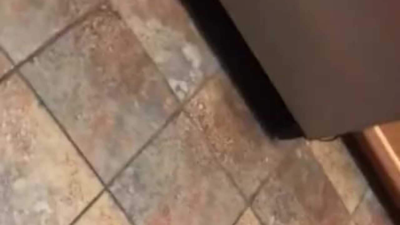 Noisy Wet And Juicy Masturbation In The Kitchen Craving Bbc Free Sex