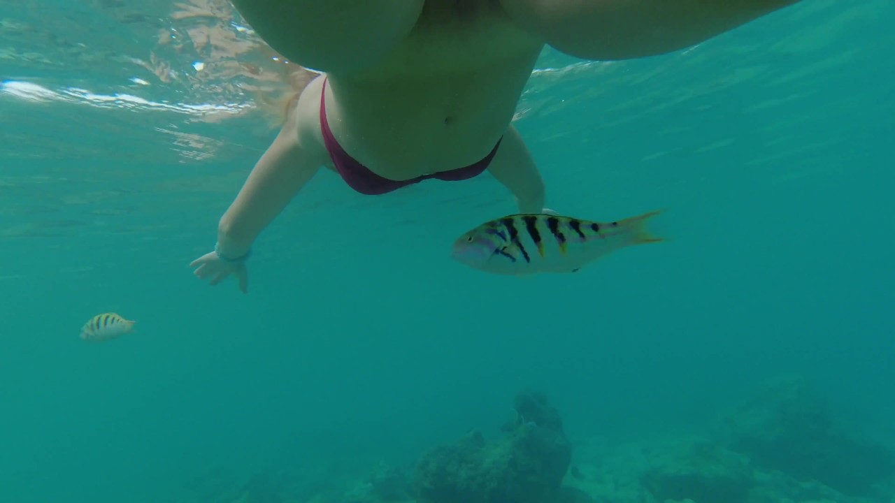 Snorkeling In Reef Free Sex Video Redtube