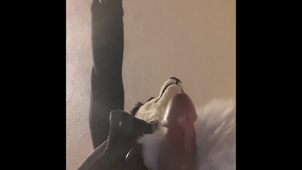 Murrsuit Cum Compilation Vídeo De Sexo Grátis Redtube