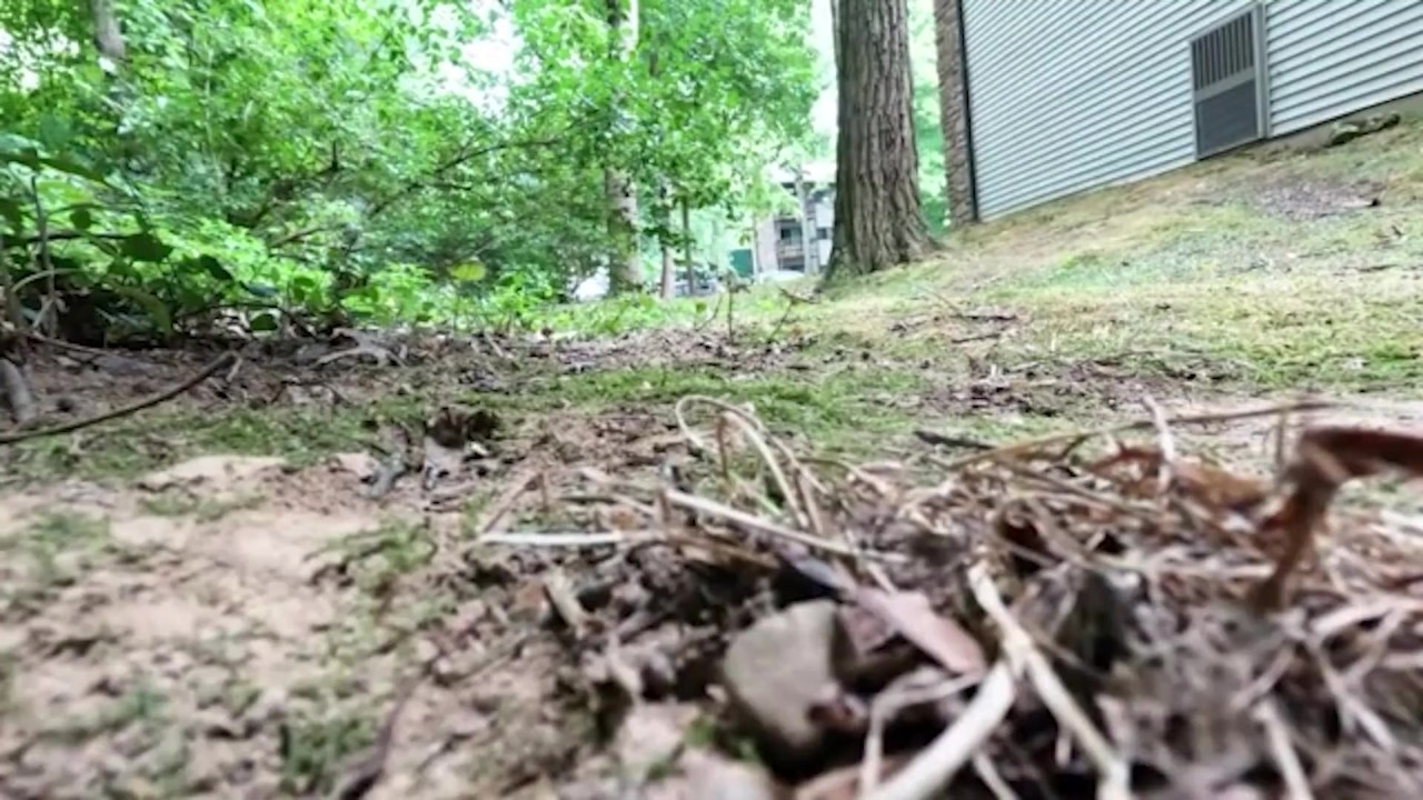 Giantess Roleplay Free Sex Video Redtube