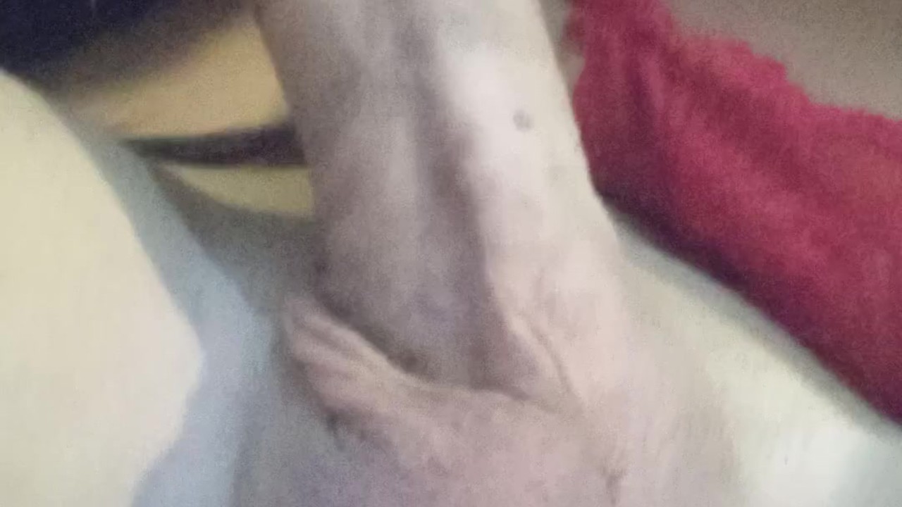 Babando Na Rola Gostoso Free Sex Video Redtube