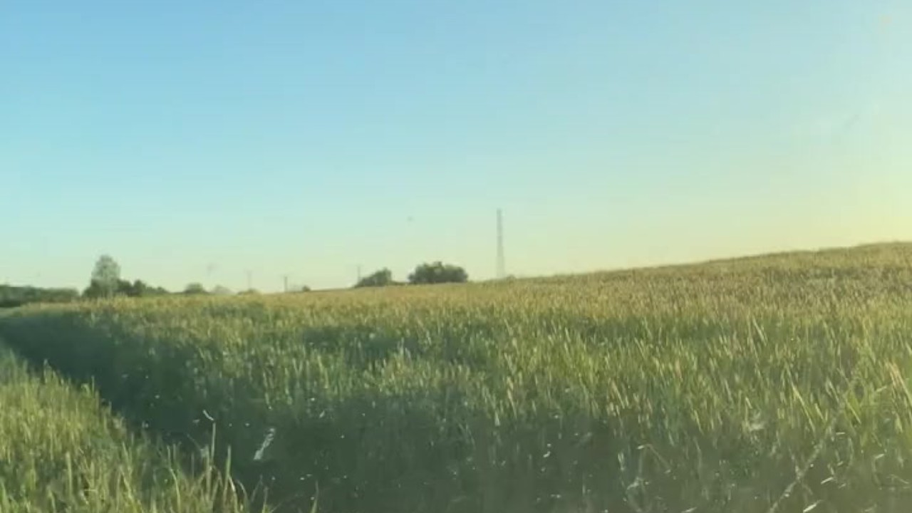 Im Ride To A Free Sex Video Redtube