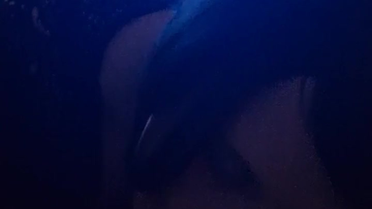 Very Tasty Dick Free Sex Video Redtube