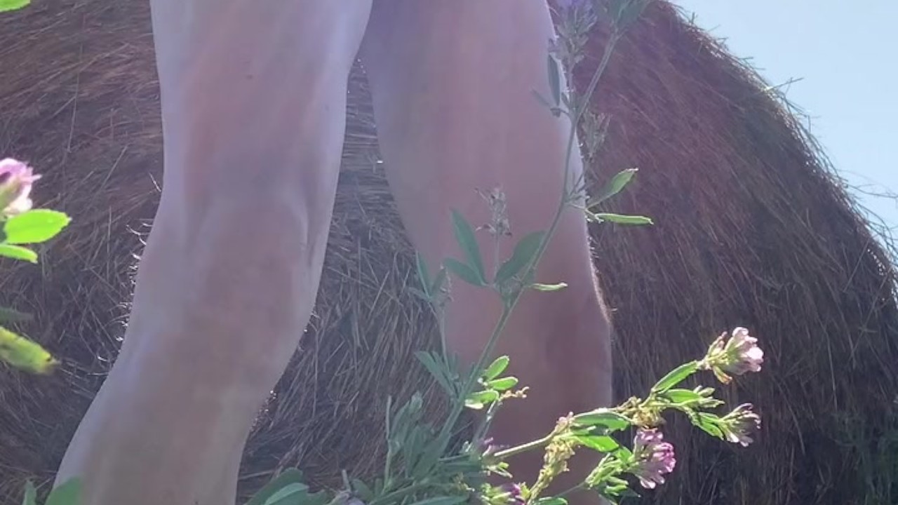 Farmer Jerks Off While Haying Free Sex Video Redtube