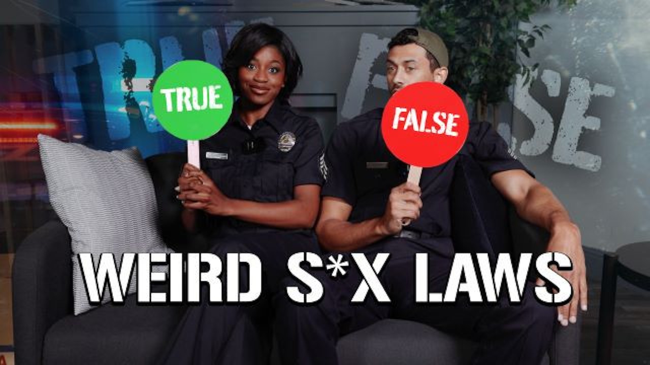Digitalplayground Pornstars Play True Or False With The Weirdest Us