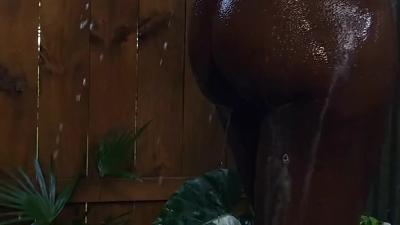 Water Tracing Every Curve Free Sex Video Redtube